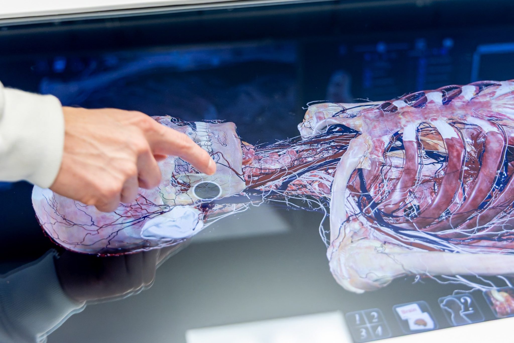 Bringing Anatomy to Life: CUW’s New Anatomage Table Enriches Learning ...