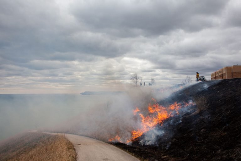 Where there's smoke...there's rebirth