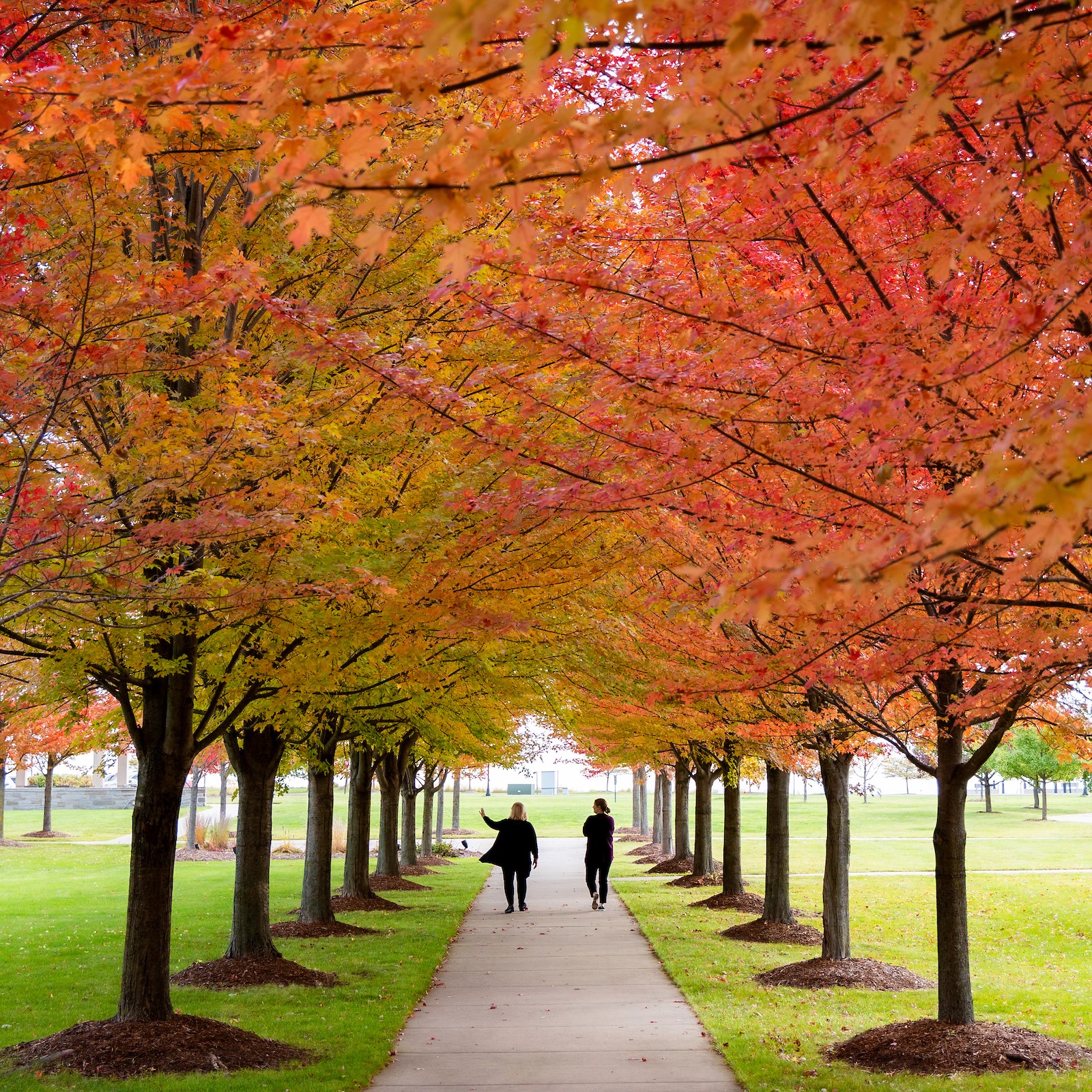 How to put the 'awe' in Autumn!