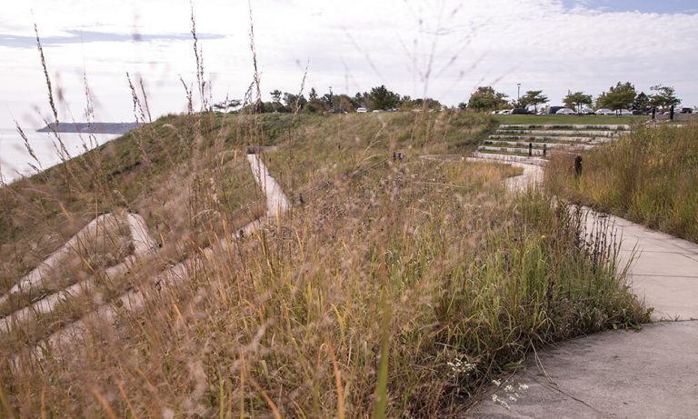 11 of the most beautiful places on CUW's campus