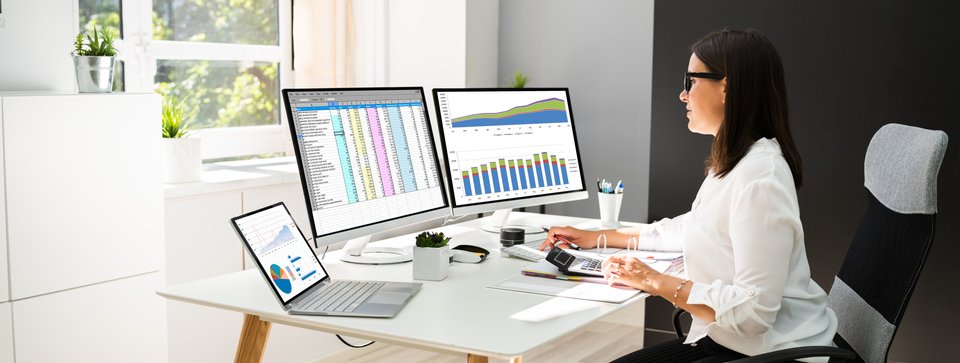 What does a business analyst do? Read more about this in-demand career