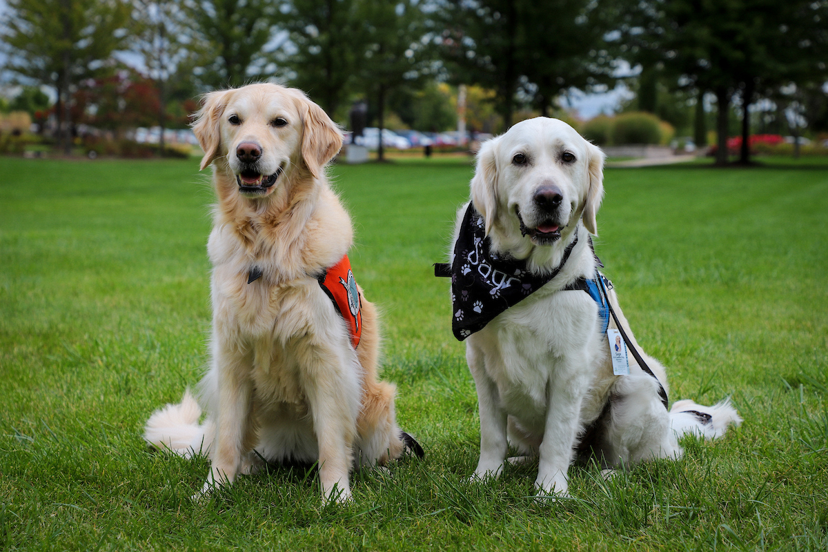 Three cheers for Transfer Week!